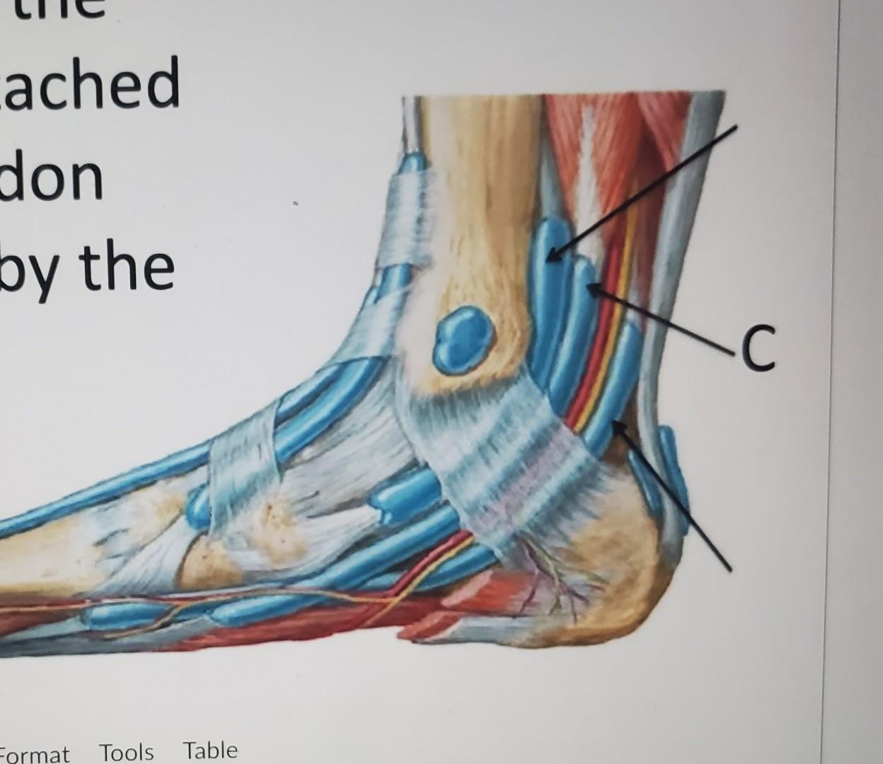 Solved ached don by the С Format Tools Table | Chegg.com