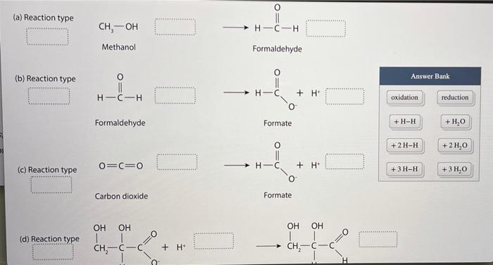 Solved One biochemical strategy of many living organisms is | Chegg.com