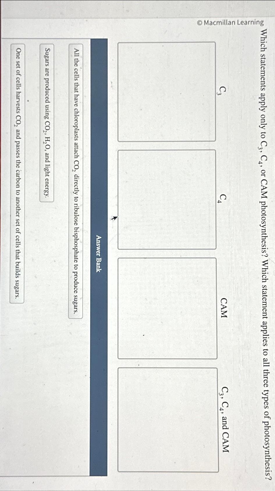 Solved ∞05 ﻿Which statements apply only to C3,C4, ﻿or CAM | Chegg.com