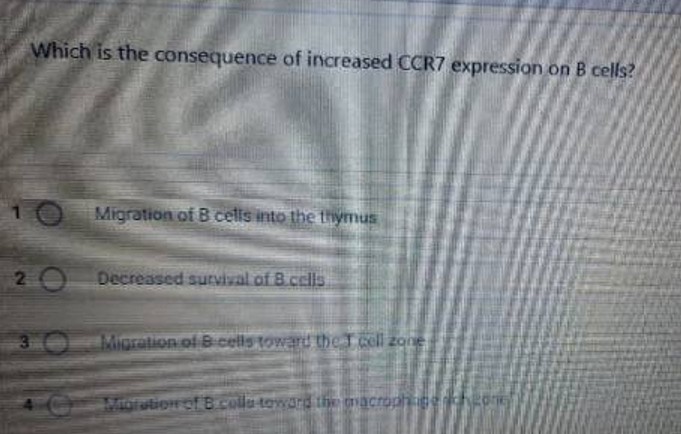 Solved Which is the consequence of increased CCR7 | Chegg.com