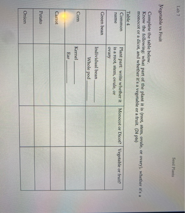 Solved Lab 7 Seed Plants Vegetable vs Fruit Complete the | Chegg.com