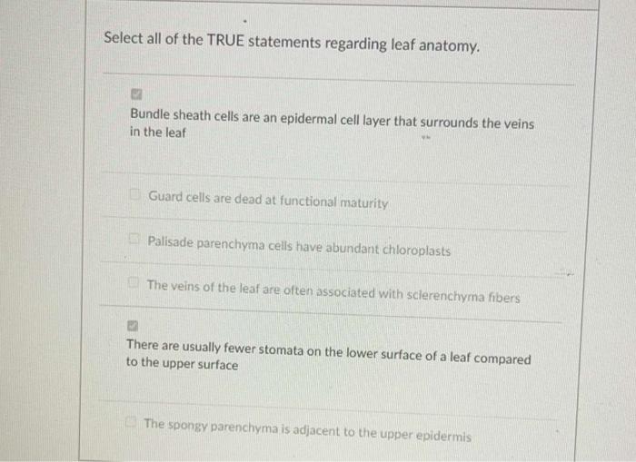 Solved Select all of the TRUE statements regarding leaf | Chegg.com