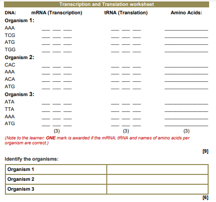 Solved Translate the mRNA codons intotRNA anti-codons on the | Chegg.com