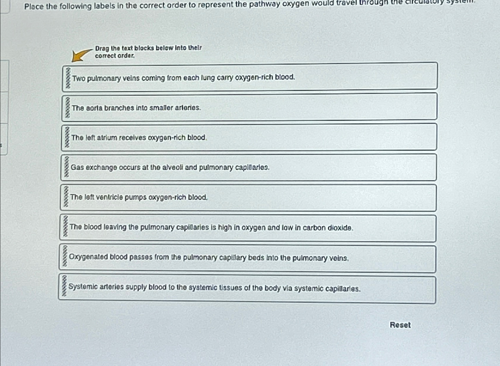 Solved Place the following labels in the correct order to | Chegg.com