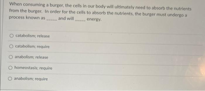 Solved When consuming a burger, the cells in our body will | Chegg.com
