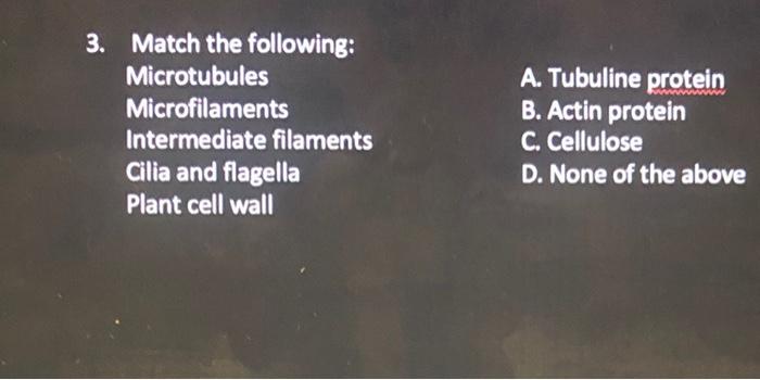 Solved 3. Match the following: Microtubules Microfilaments | Chegg.com
