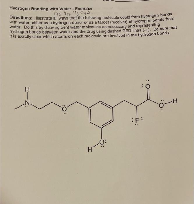 Solved Hydrogen Bonding with Water - Exercise Directions: | Chegg.com