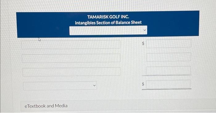 Solved Question 9 of 12 - / 1.25 IIT Tamarisk Golf Inc. was | Chegg.com