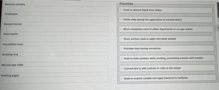 Solved Bacteria sample Function Used to removed from sides | Chegg.com
