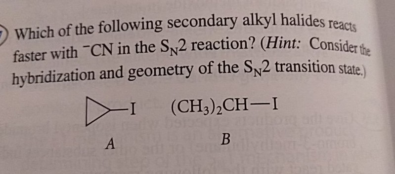 Solved Which of the following secondary alkyl halides reacts | Chegg.com