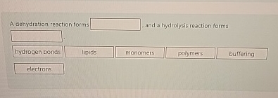 Solved A dehydration reaction forms_____ ﻿and a hydrolysis | Chegg.com
