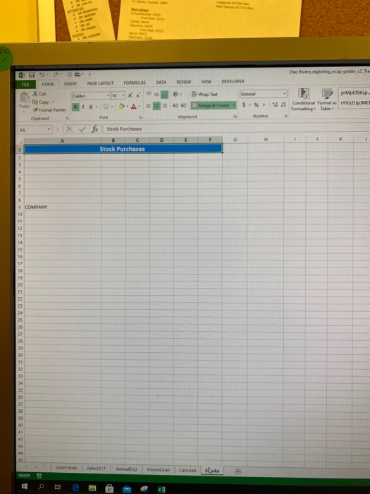 Grader Instructions Excel 2016 Prot | Chegg.com