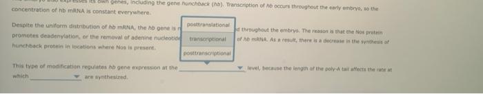 Solved Distribution of Nanos (Nos) Nos protein hb mRNA | Chegg.com