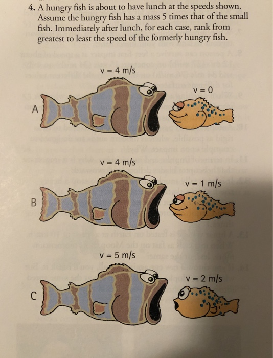 Solved 4. A hungry fish is about to have lunch at the speeds | Chegg.com