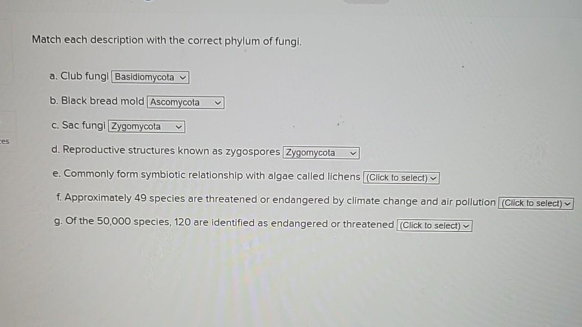 Solved Match each description with the correct phylum of | Chegg.com