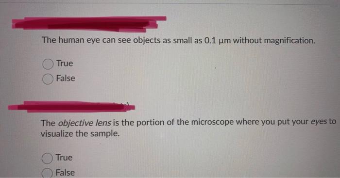 Solved The human eye can see objects as small as 0.1 um | Chegg.com