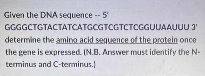 Solved Given the DNA sequence -- 5' | Chegg.com