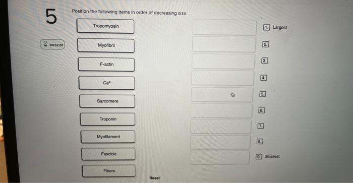 Solved Position the following items in order of decreasing | Chegg.com
