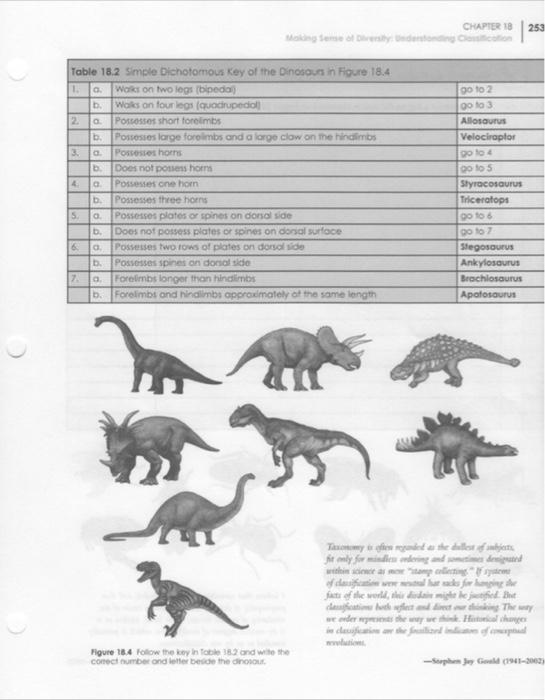 Solved A: Use the dichotomous key to identify each of the 8 | Chegg.com