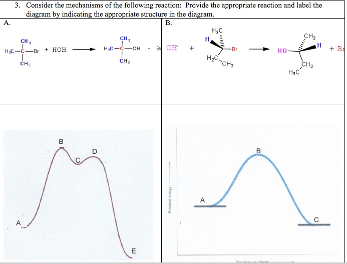 Solved Consider the mechanisms of the following reaction: | Chegg.com