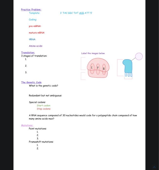 Solved Proctice Problem: Template: 3. TAC GGC TAT AGG ATT 5 | Chegg.com Solved Proctice Problem: Template: 3. TAC GGC TAT AGG ATT 5 | Chegg.com