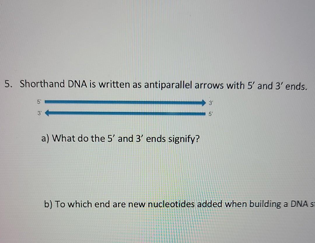 Solved 5. Shorthand DNA is written as antiparallel arrows | Chegg.com