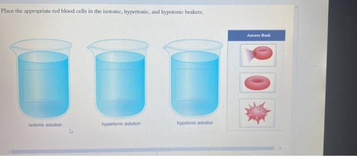 Solved L Isotonic solution hypertonic solution hypotonic | Chegg.com