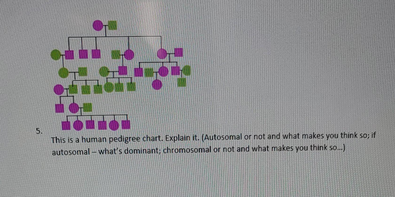 Solved This is a human pedigree chart. Explain it. | Chegg.com