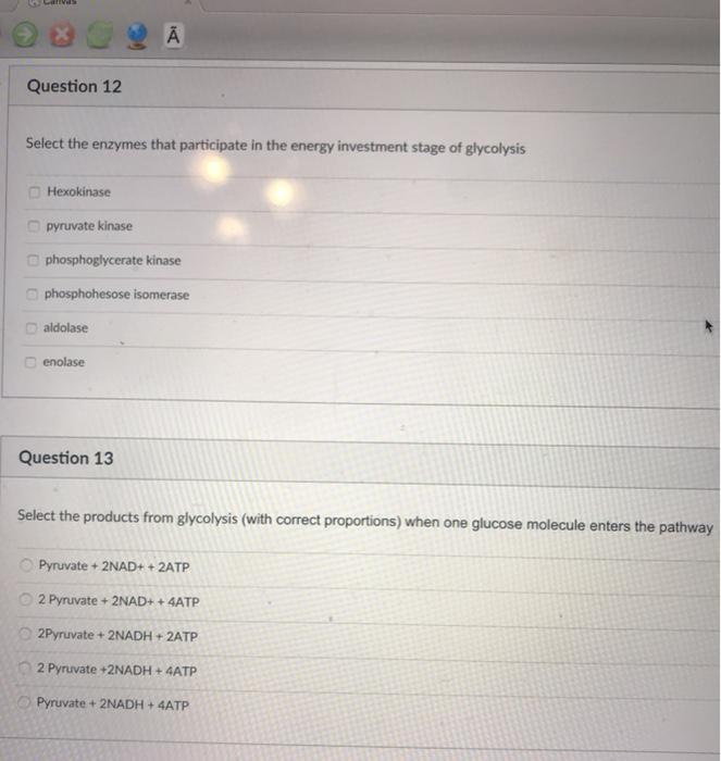 Solved Match each enzyme to the correct substrate | Chegg.com