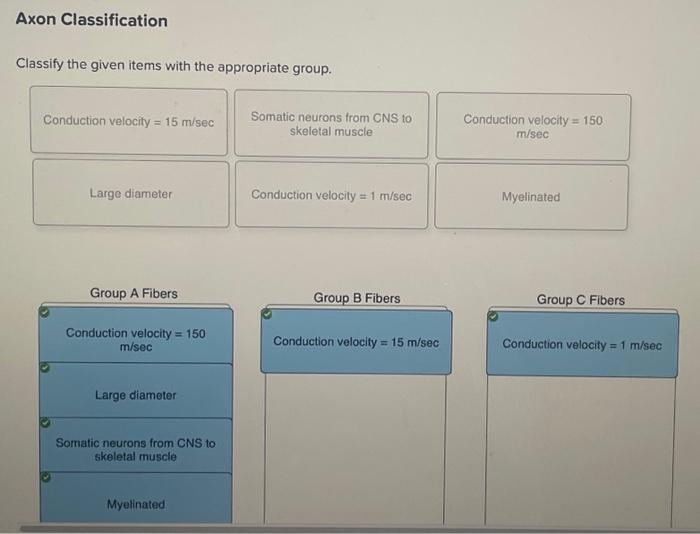 Solved Axon Classification Classify the given items with the | Chegg.com