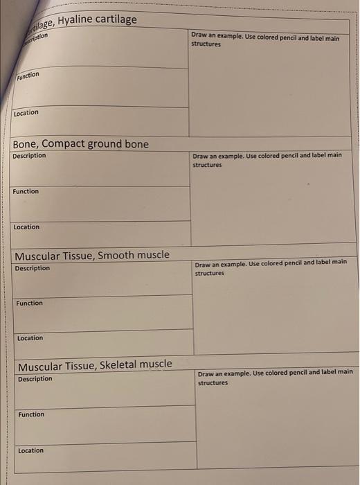 Solved vtilage, Hyaline cartilage sertion Draw an example. | Chegg.com