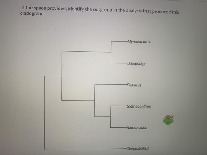 Solved In the space provided, identify the outgroup in the | Chegg.com