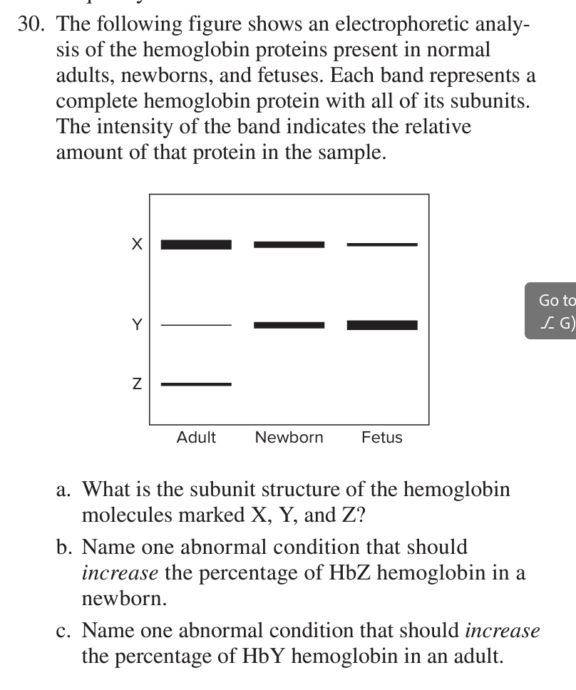 Solved The following figure shows an electrophoretic | Chegg.com