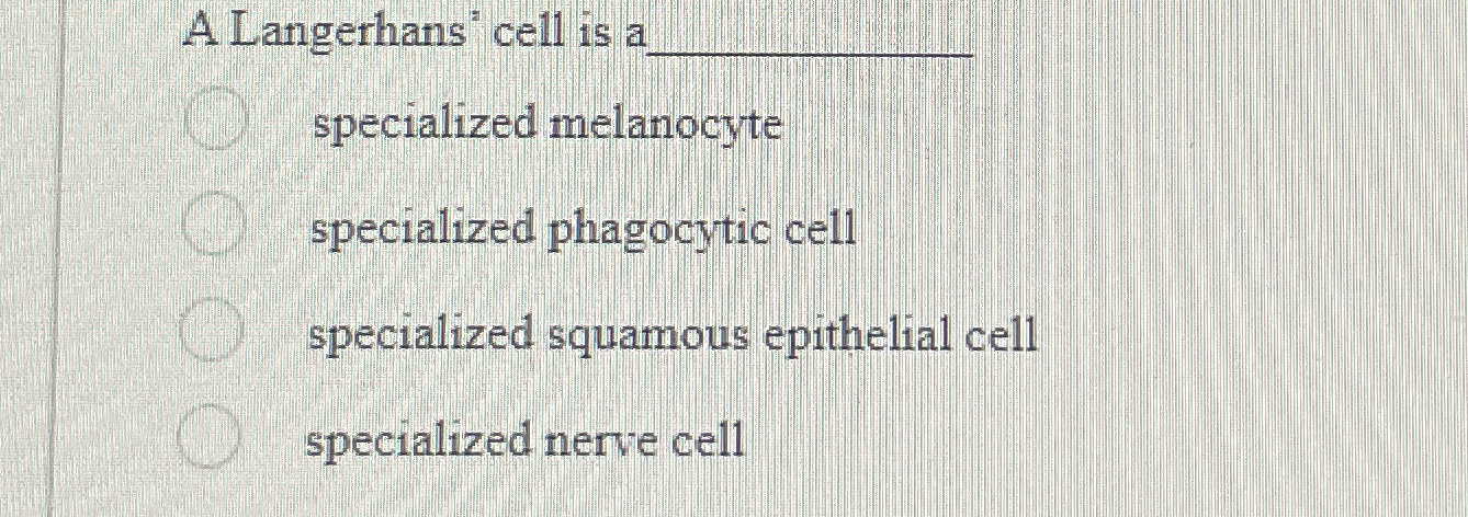 Solved A Langerhans cell is a q,specialized | Chegg.com