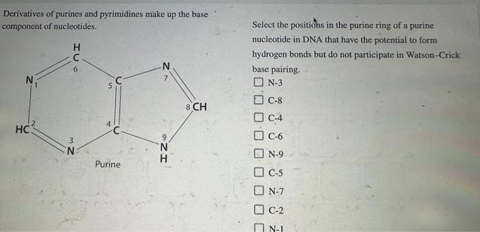 Solved Derivatives of purines and pyrimidines make up the | Chegg.com