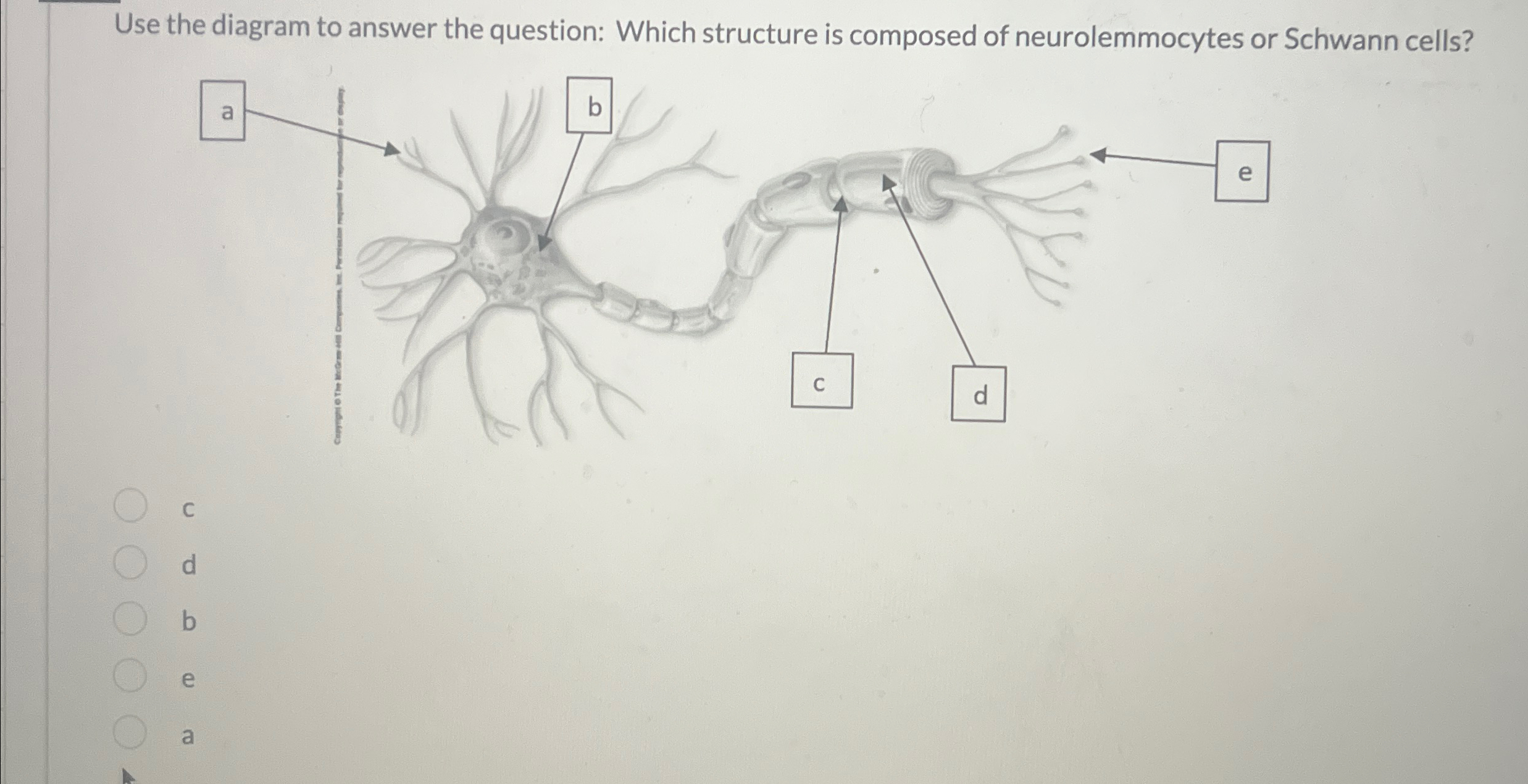 Solved Use the diagram to answer the question: Which | Chegg.com