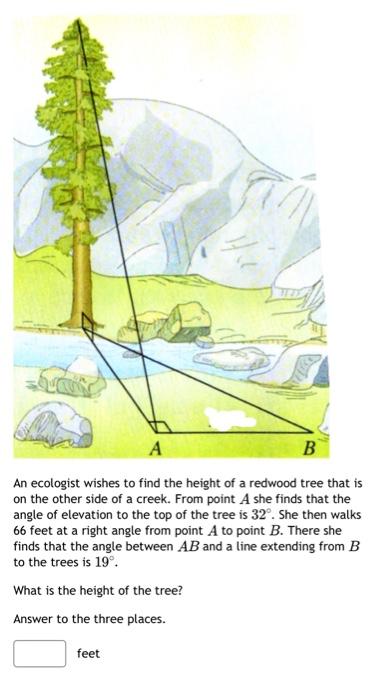 Solved An ecologist wishes to find the height of a redwood | Chegg.com