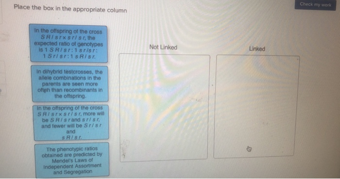 Solved Place the box in the appropriate column Check my work | Chegg.com