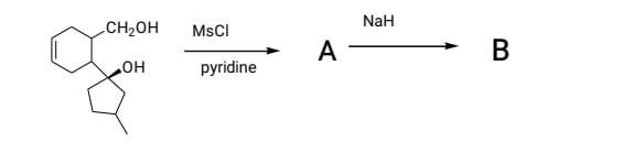 Solved pyridine MsCl | Chegg.com