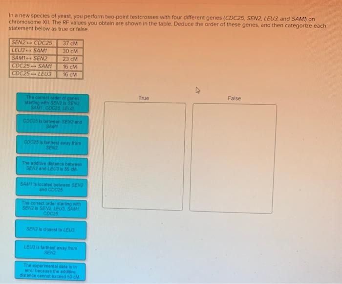 Solved In a new species of yeast, you perform two-point | Chegg.com