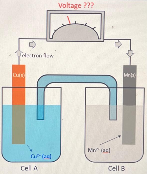 Solved (15 POINTS) Examine the Galvanic cell diagram below | Chegg.com