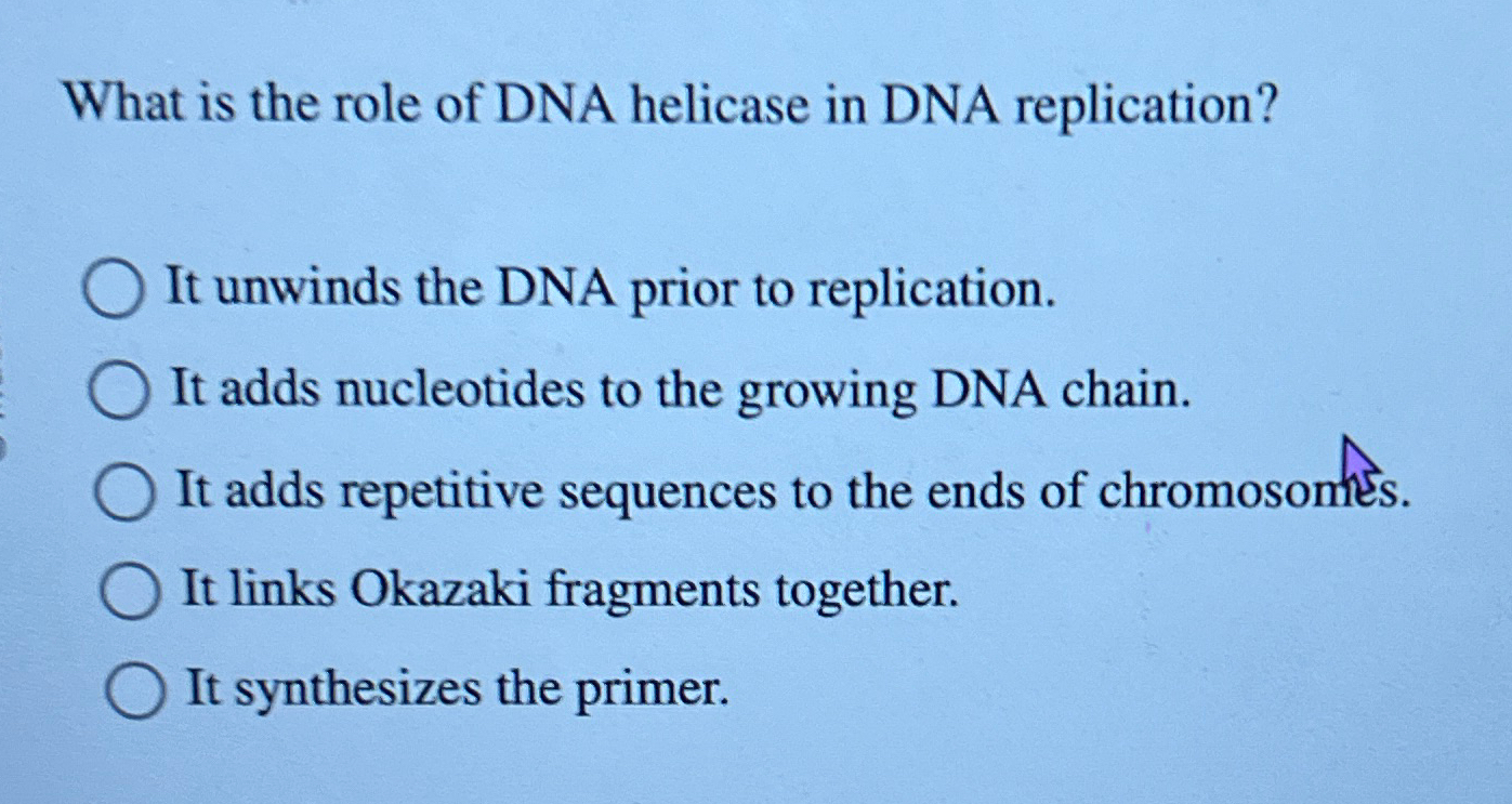 Solved What is the role of DNA helicase in DNA | Chegg.com