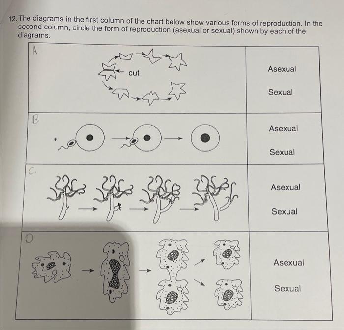 Solved 10. How does the type of reproduction shown in method | Chegg.com