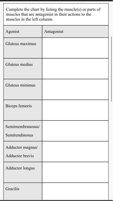 Solved Complete the chart by listing the muscle(s) or parts | Chegg.com