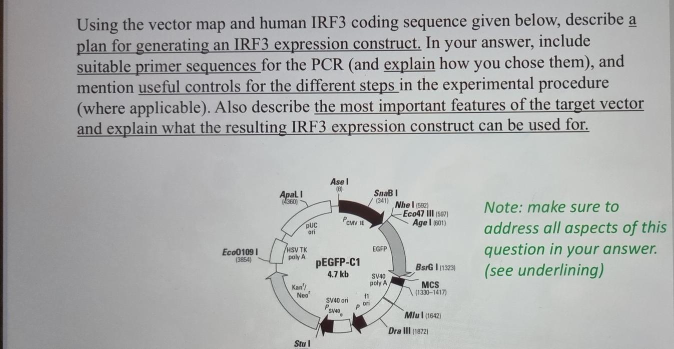 Solved Using the vector map and human IRF3 coding sequence | Chegg.com