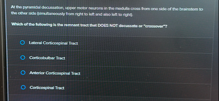 Solved At the pyramidal decussation, upper motor neurons in | Chegg.com