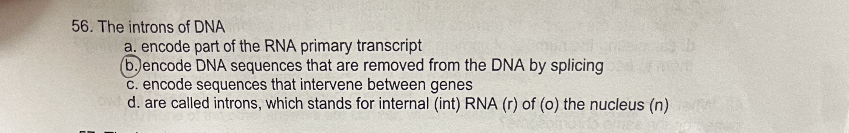 Solved The introns of DNAa. ﻿encode part of the RNA primary | Chegg.com