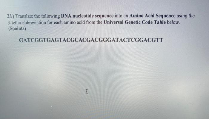 Solved 21) Translate the following DNA nucleotide sequence | Chegg.com