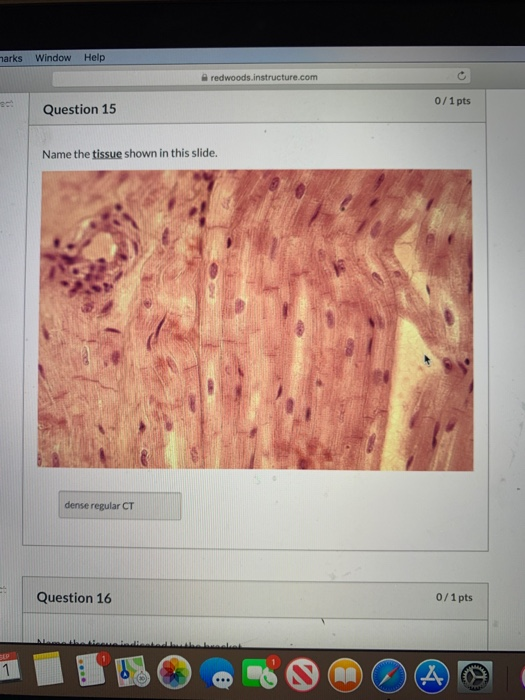 Solved Marks Window Help redwoods.instructure.com 0/1 pts | Chegg.com