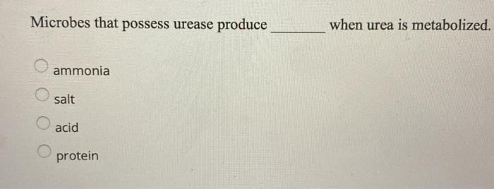 Solved Microbes that possess urease produce when urea is | Chegg.com